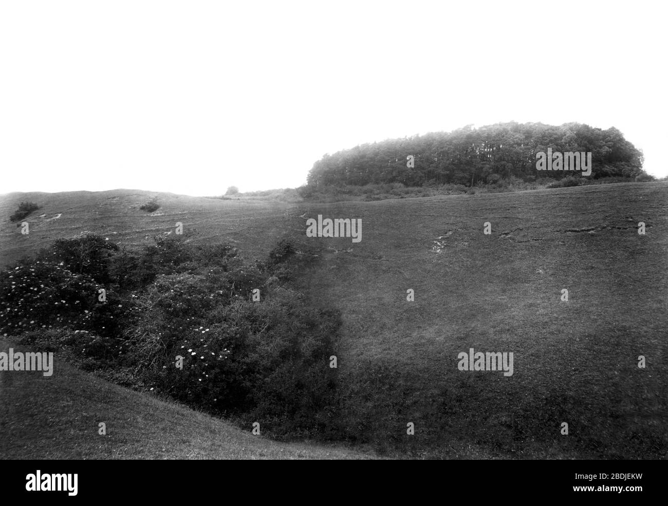 Badbury Rings, Hill Fort 1899 Stock Photo - Alamy