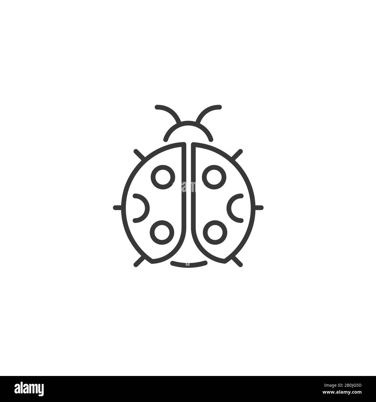 Ladybug Outline