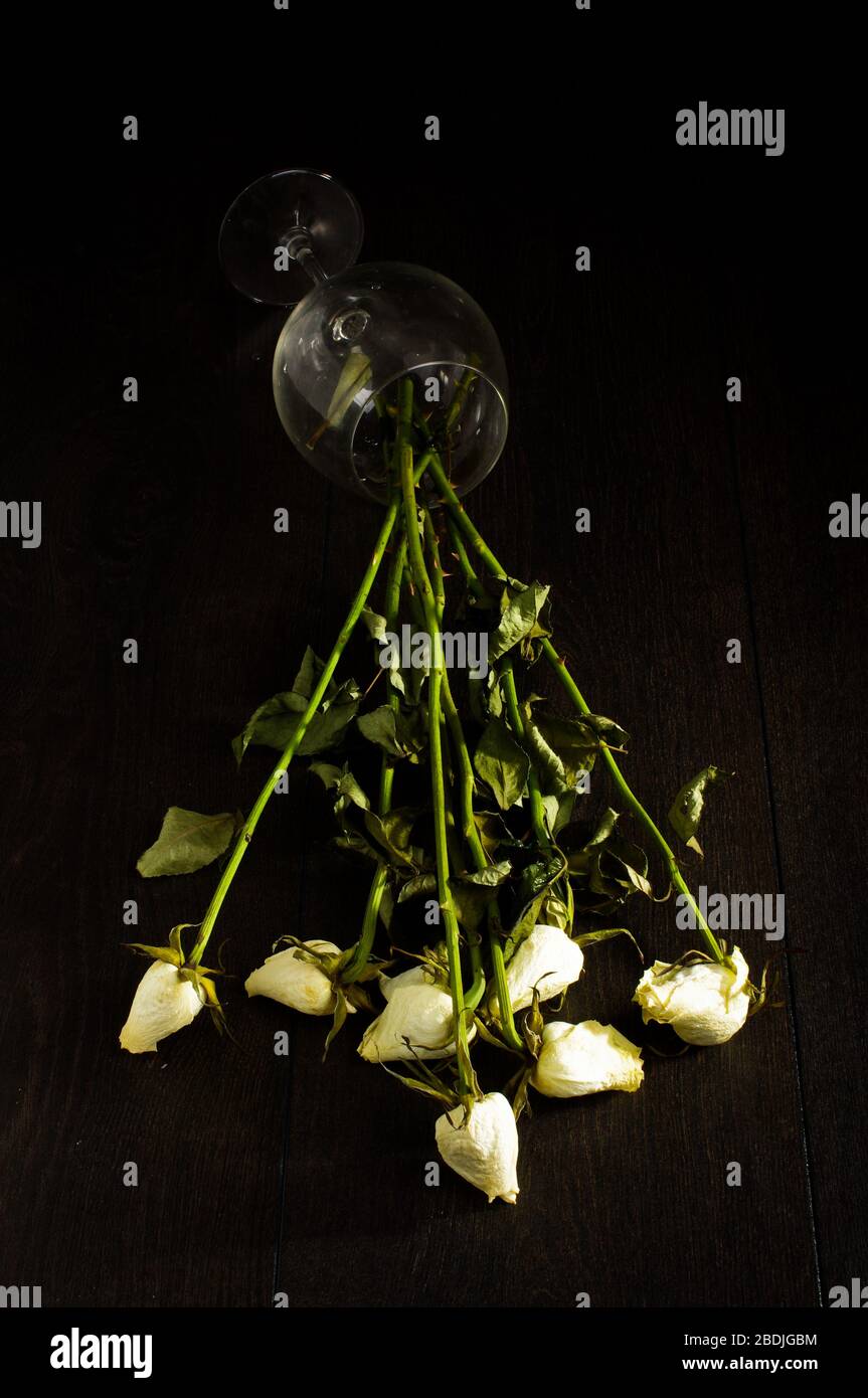 Black Rot Of Roses High Resolution Stock Photography and Images - Alamy