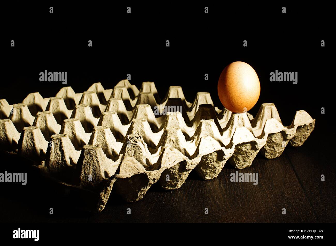 Egg on the egg case with dramatic lighting Stock Photo - Alamy