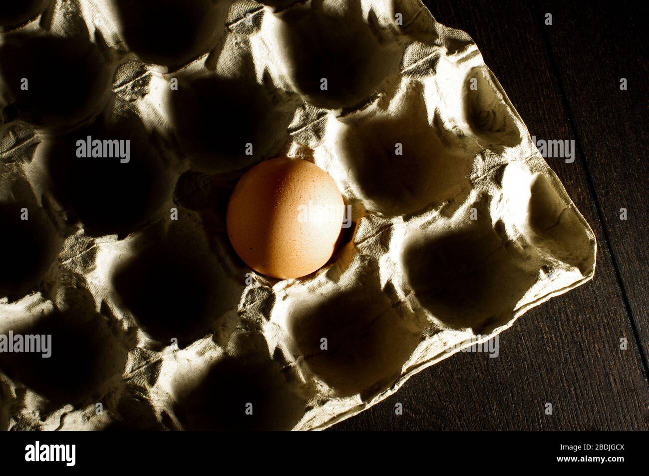 Single brown egg close up in the egg case Stock Photo - Alamy