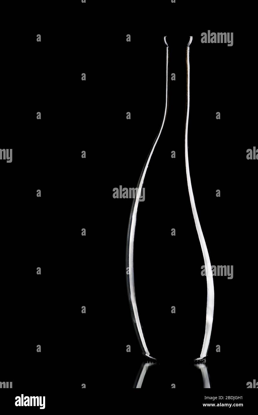 Curvy flower vase backlit on the black background Stock Photo - Alamy