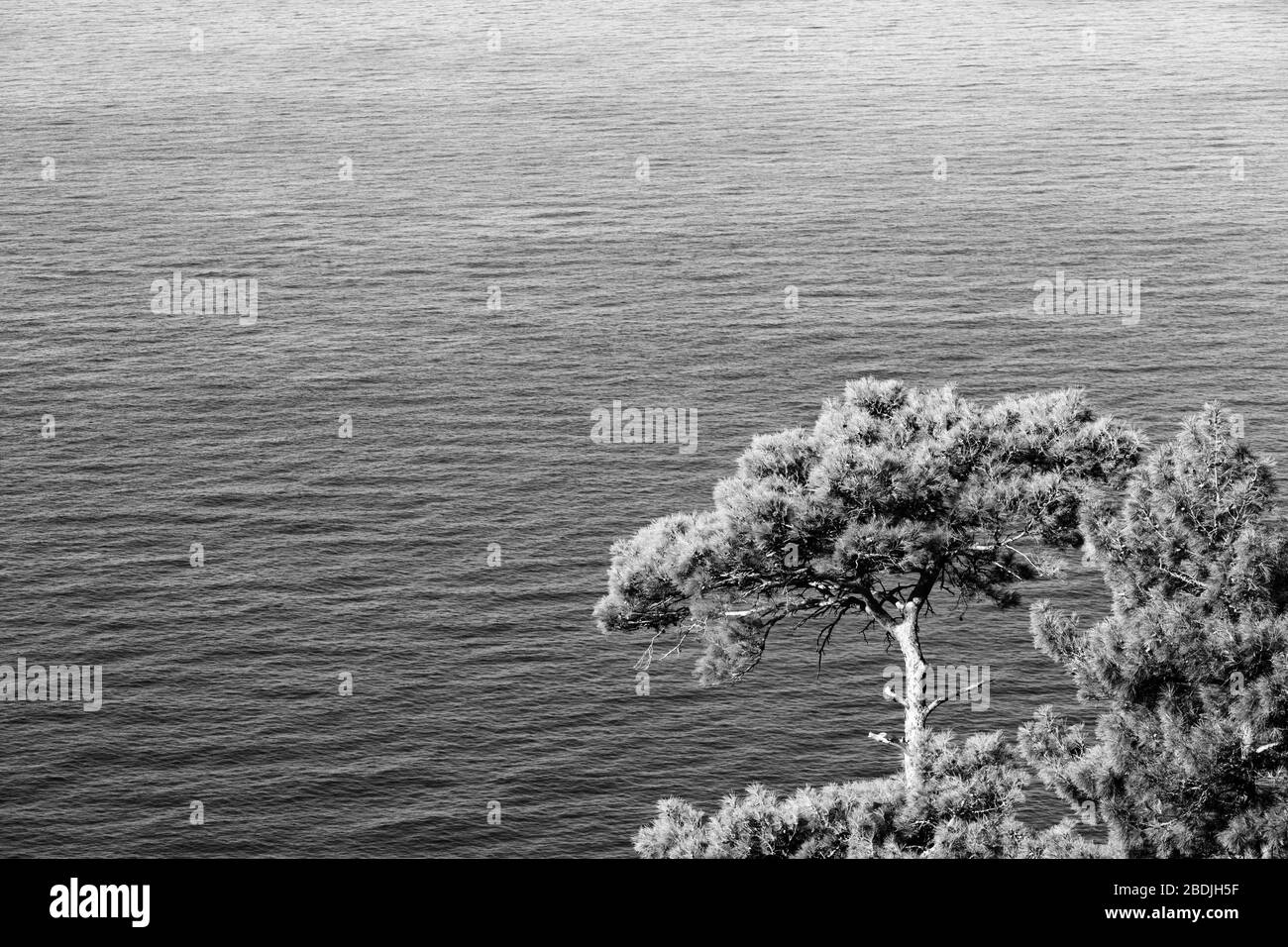 Top view on sunlight sea at sun day. Mediterranean sea, Turkey. Black ...