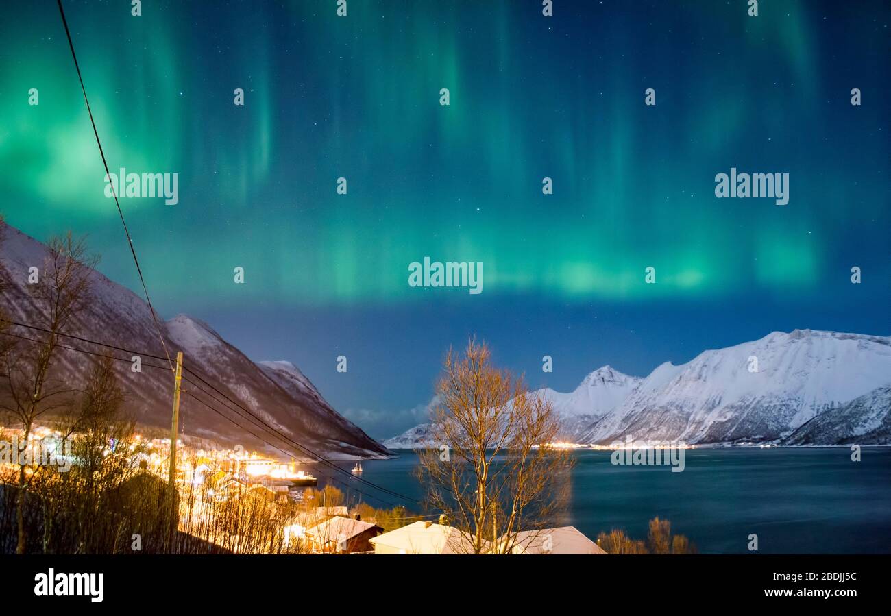 Aurora borealis northern lights dance the dark night sky hi-res stock ...