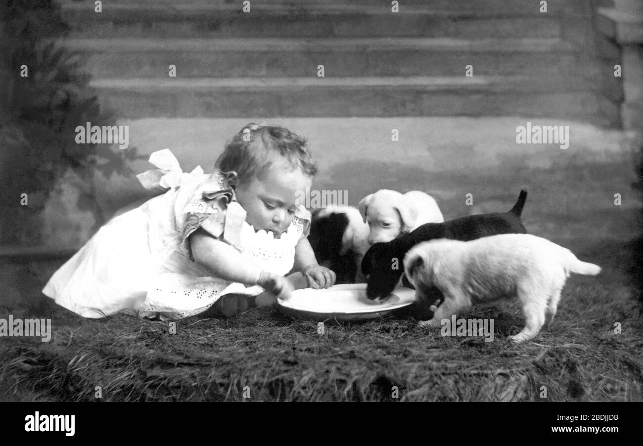 Special Subjects, Infantry at Mess 1894 Stock Photo - Alamy