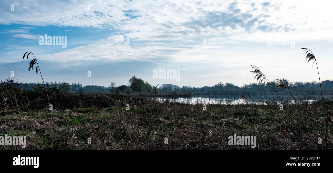 The Whitlingham Marsh, at Thorpe St Andrew in Norwich, a birdwatchers ...