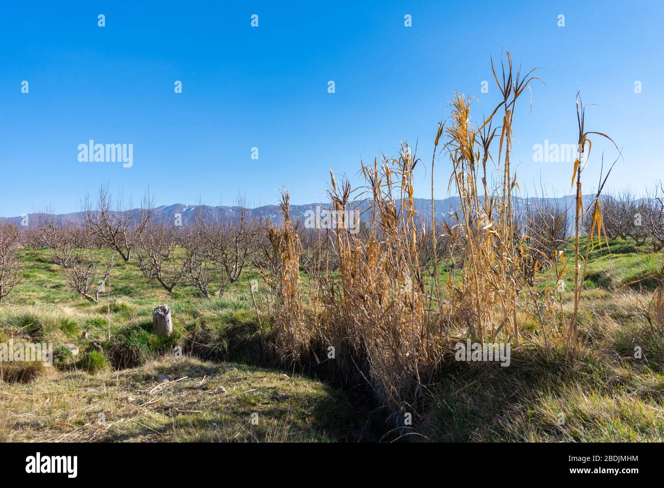 Rural Farm Scene with Bare Crops in Midelt Morocco Stock Photo - Alamy