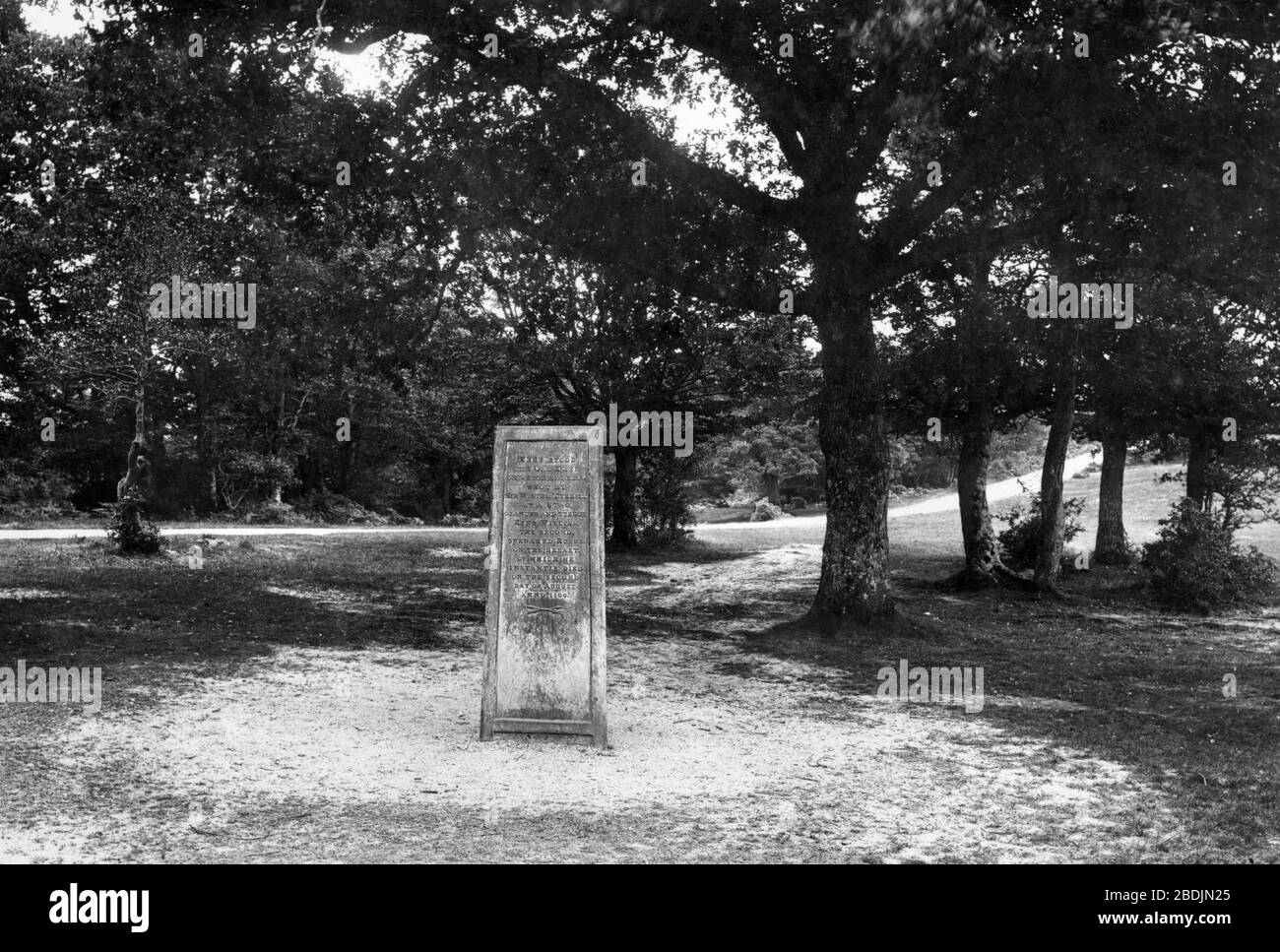 New Forest, Rufus Stone 1890 Stock Photo - Alamy