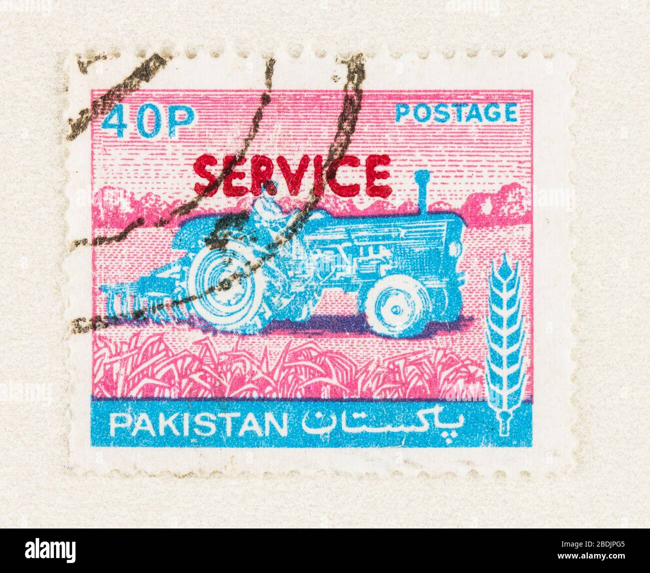 Agriculture industry of pakistan hi-res stock photography and images ...