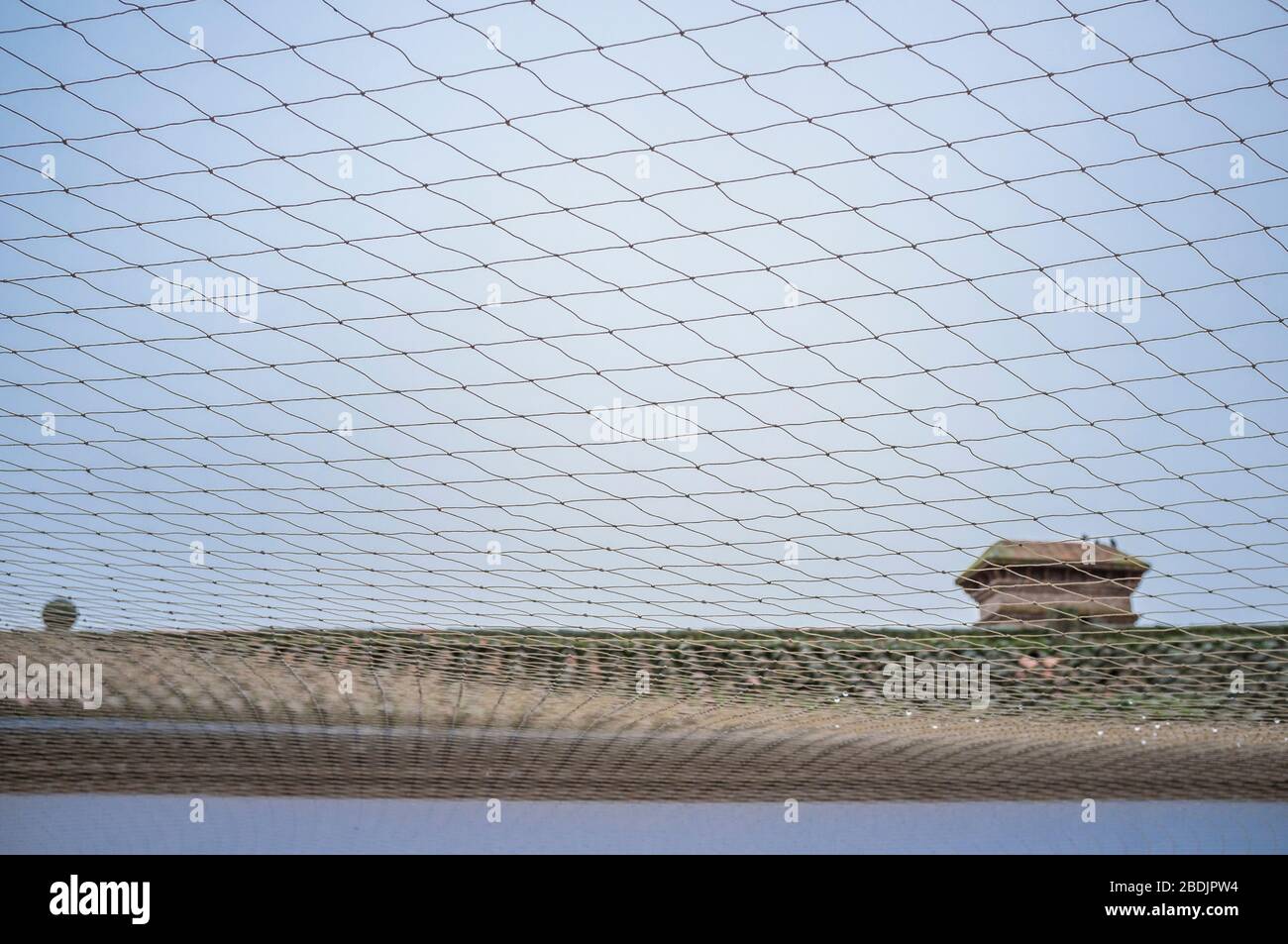 Pigeon Netting High Resolution Stock Photography and Images - Alamy