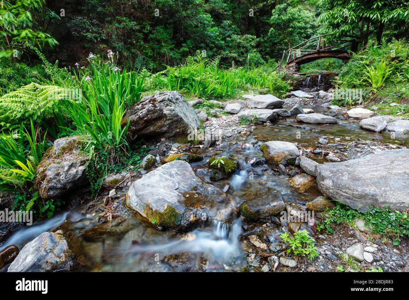 Waterfall. Jibi, Himachal Pradesh Stock Photo - Alamy