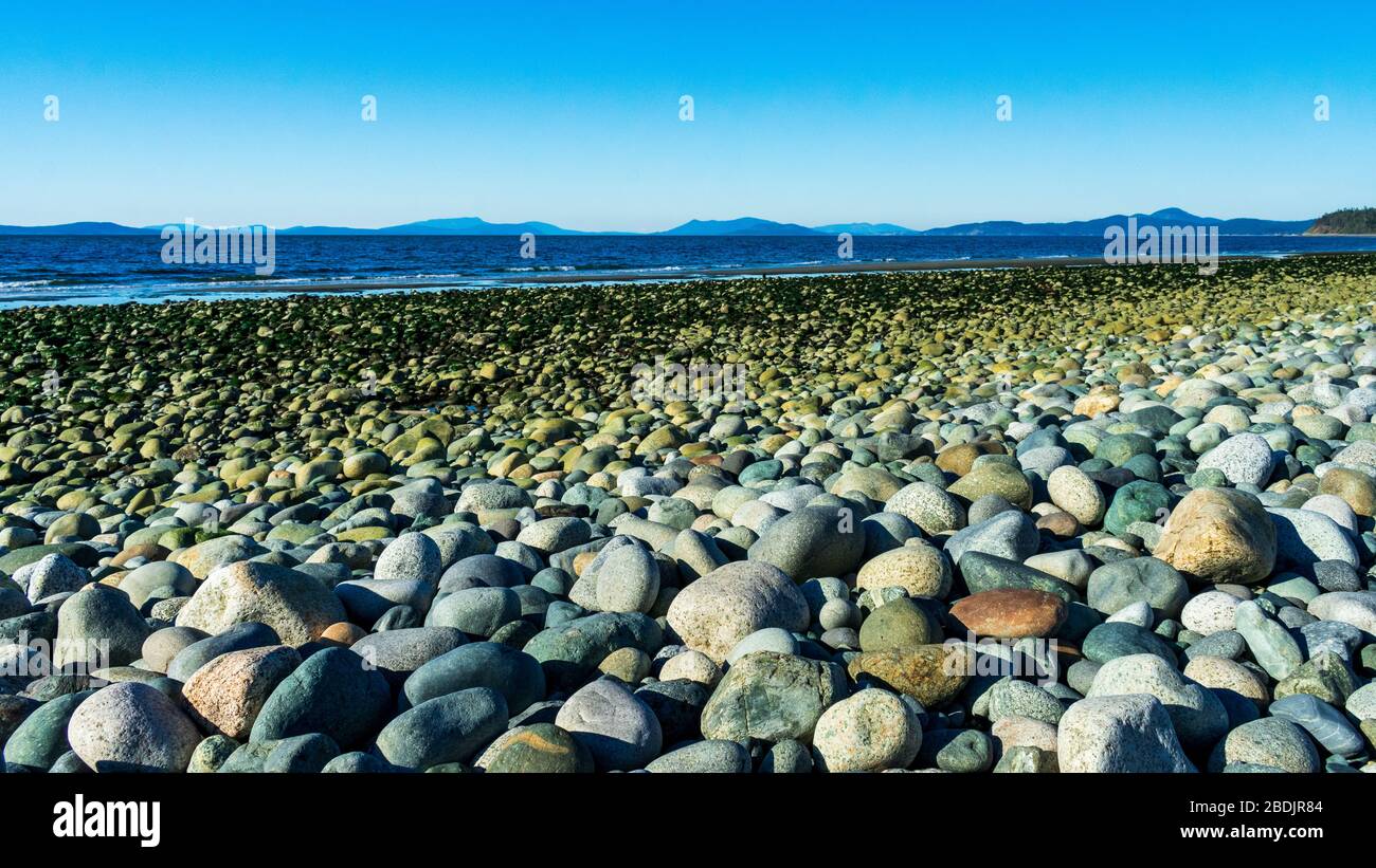 Coast Salish High Resolution Stock Photography and Images - Alamy