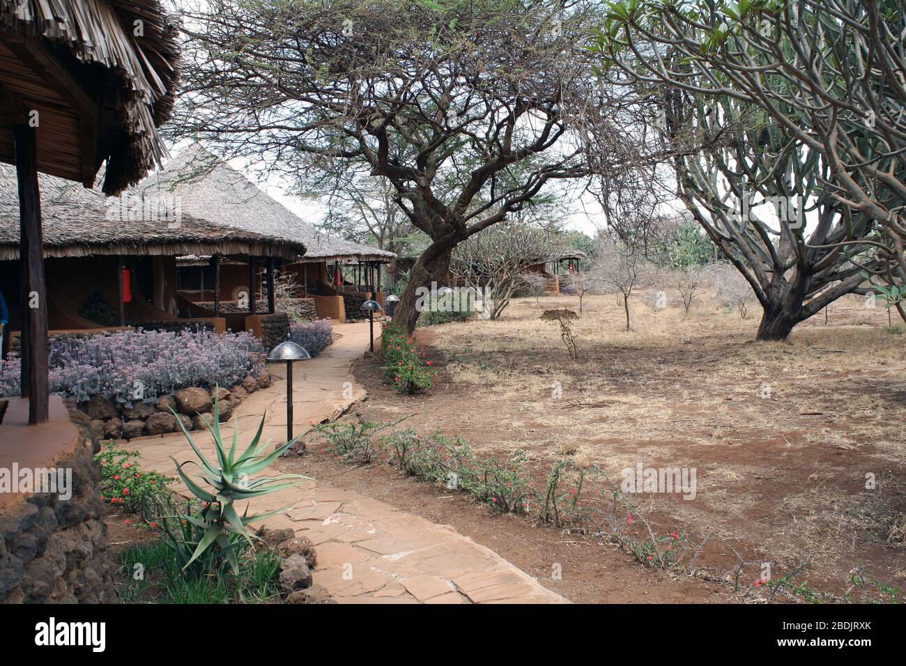 Kenya landscape hi-res stock photography and images - Alamy