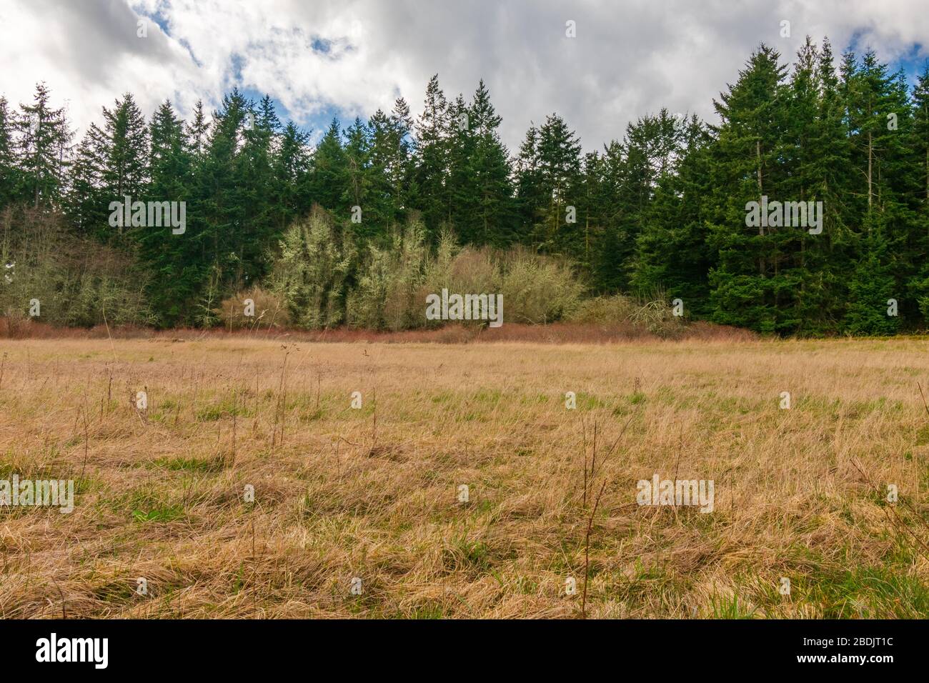 Sunny spring day in washington hi-res stock photography and images - Alamy