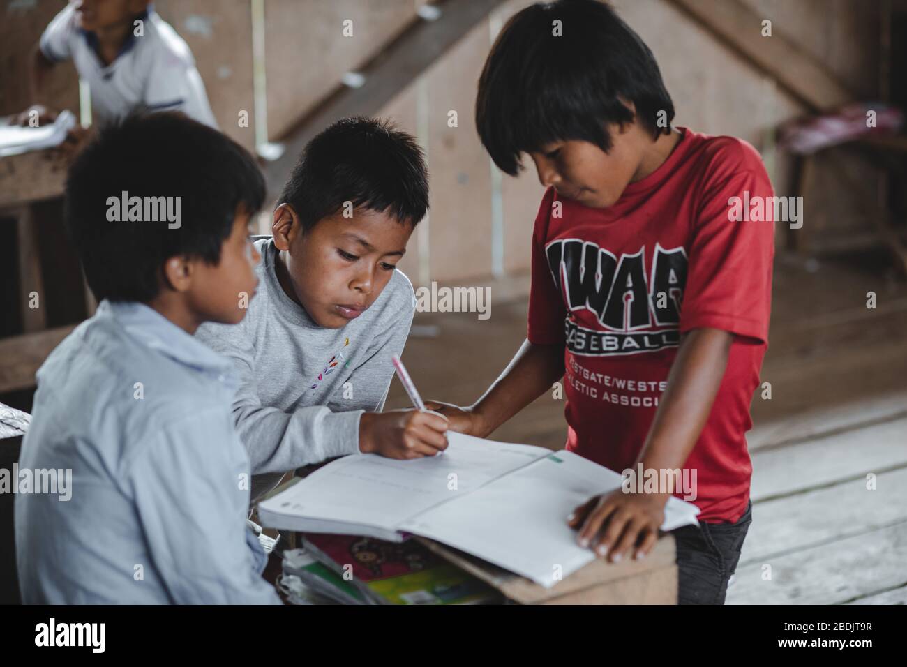 Indigenous kids learning, Shiwiar Territory, Ecuador Stock Photo - Alamy