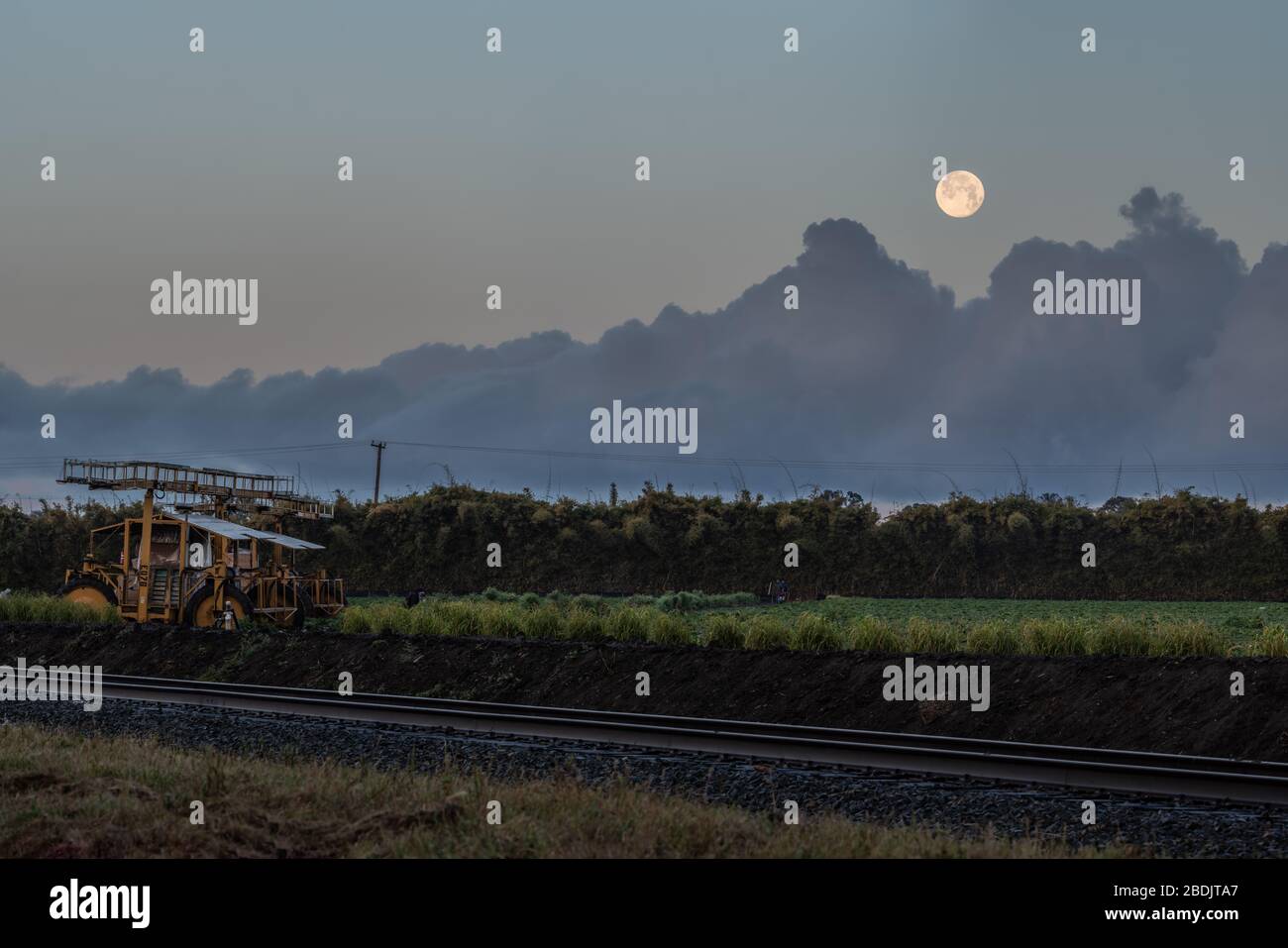 Pink Full Moon glowing bright in the sky over the agriculture fields of ...