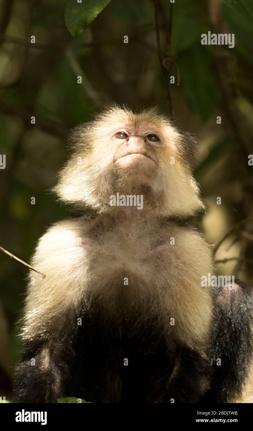 Higher power hi-res stock photography and images - Alamy