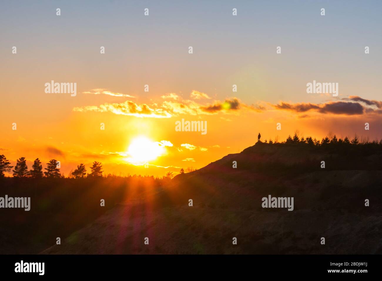 Sunset against the backdrop of tree tops Stock Photo - Alamy