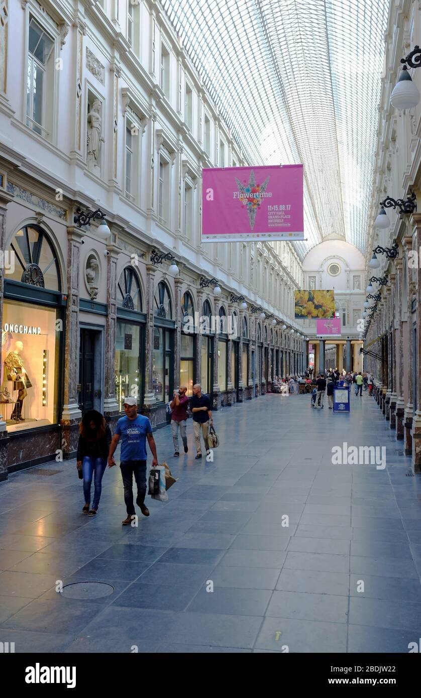 The royal saint hubert gallery hi-res stock photography and images - Alamy