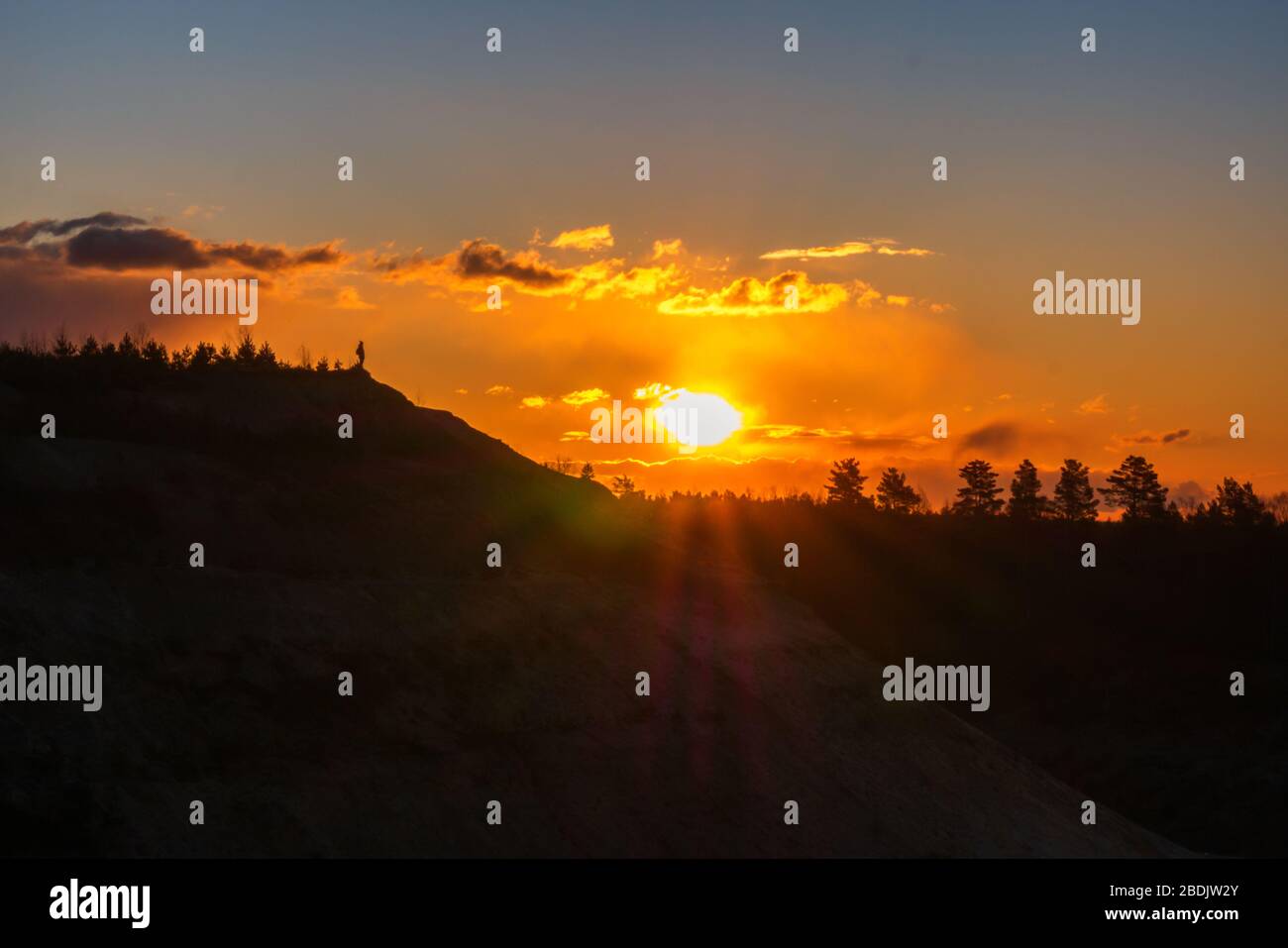 Tree tops at sunset hi-res stock photography and images - Alamy