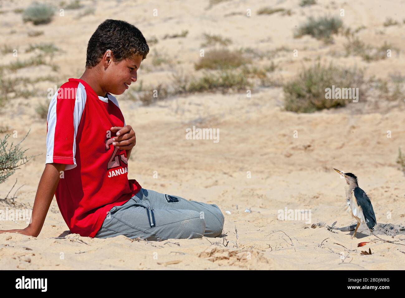 El Arish High Resolution Stock Photography and Images - Alamy