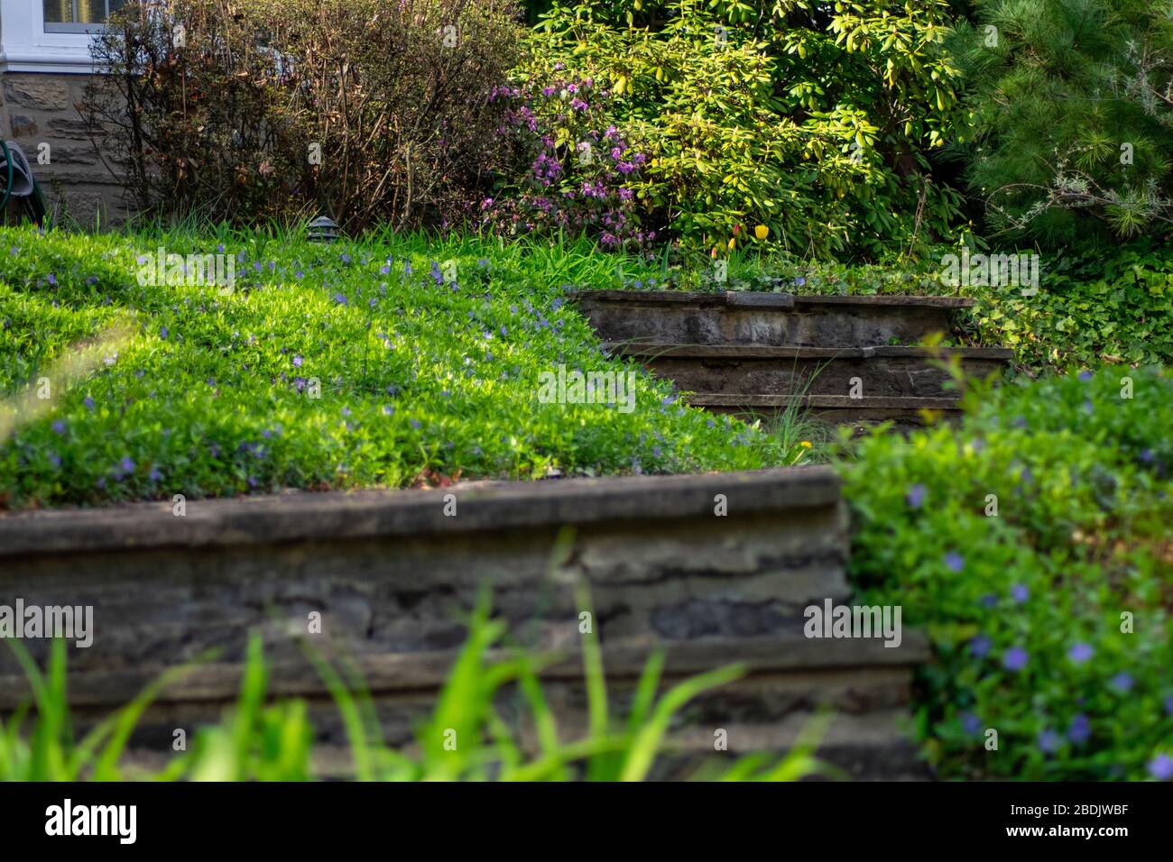 A Worn Cobblestone Path and Steps on a Front Lawn Stock Photo - Alamy