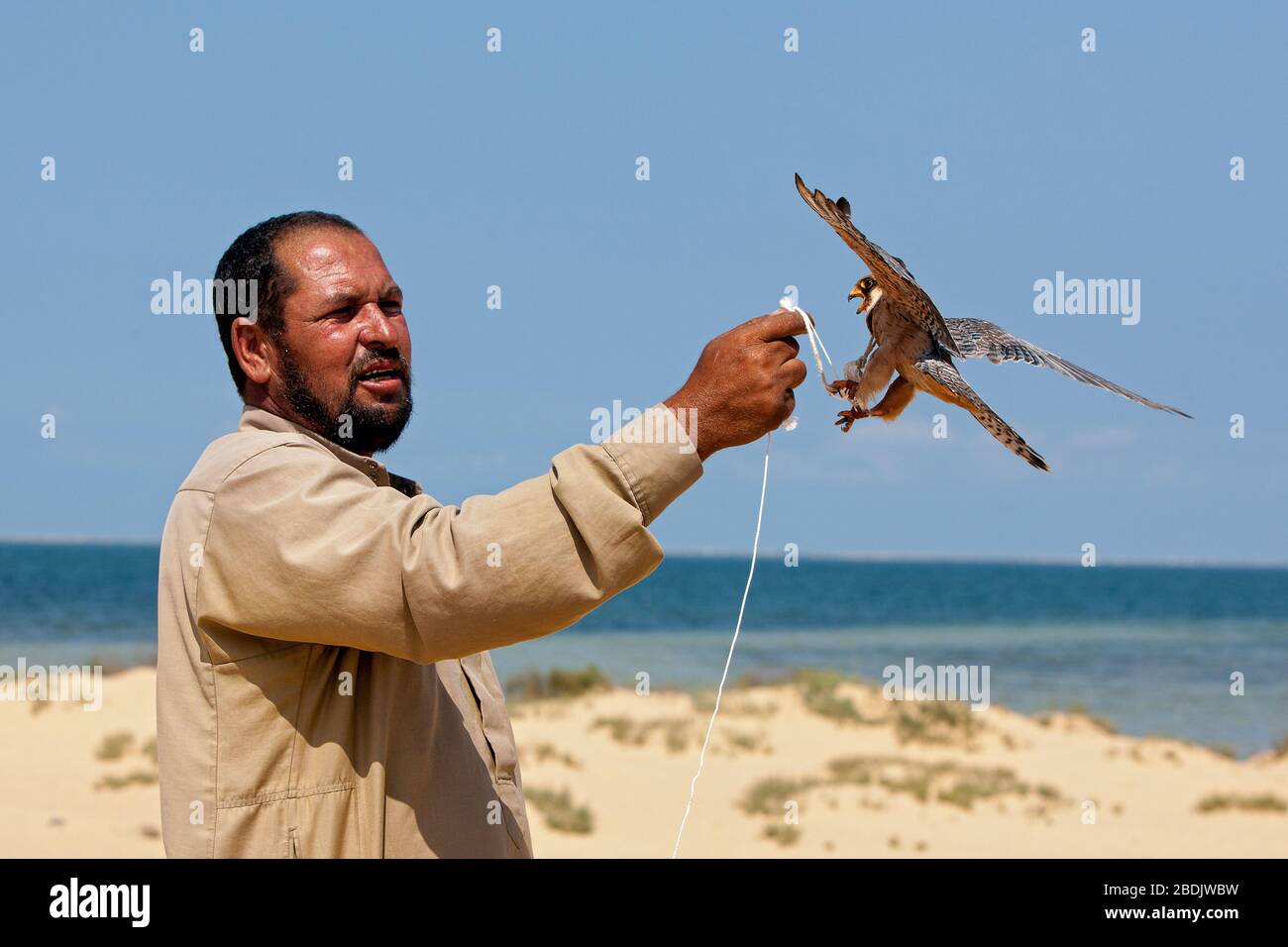 In El Arish. North Sinai. Egypt Stock Photo - Alamy