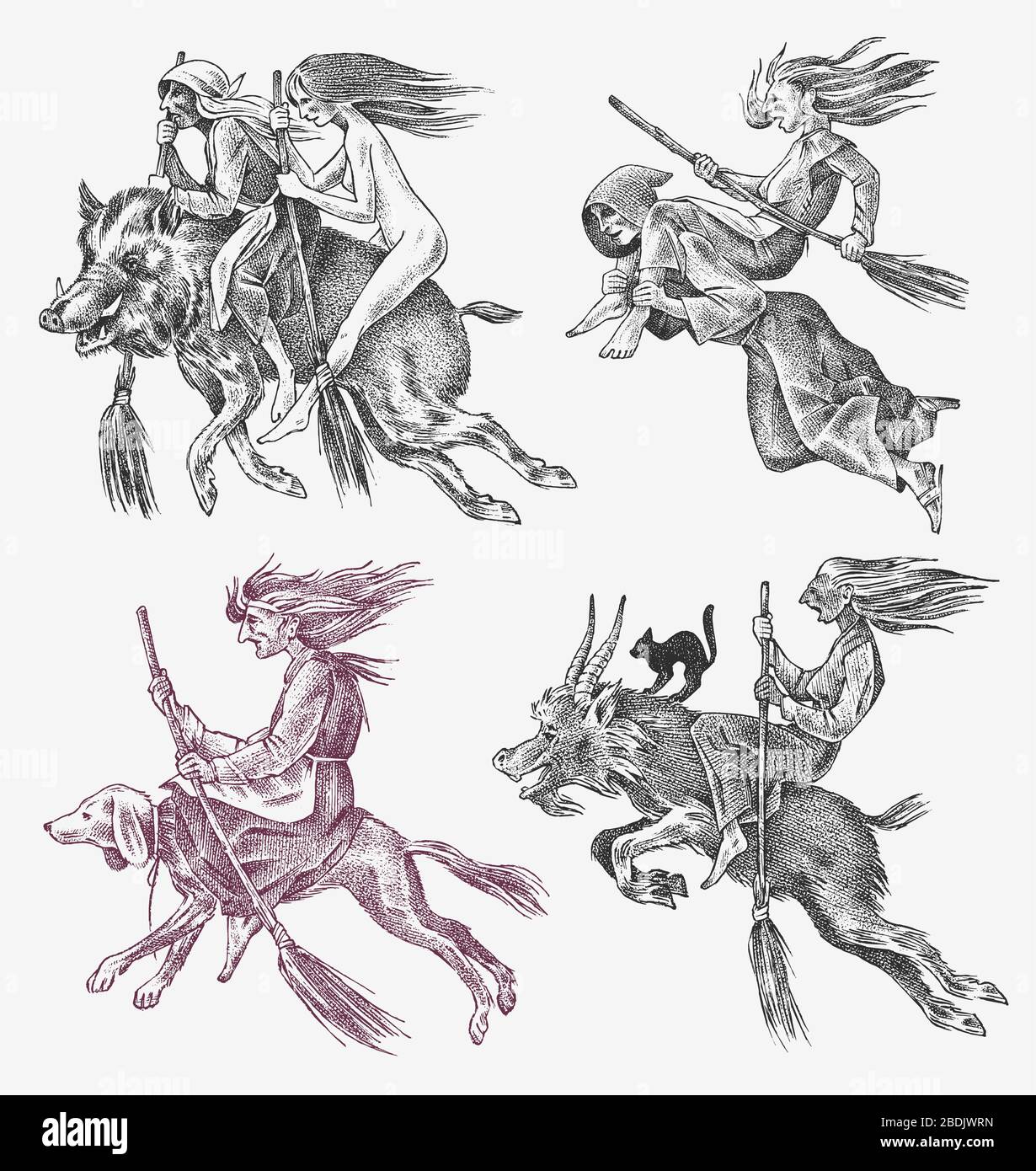 Witch flies with a broom and a dog, a goat and a boar. Ancient mythical ...