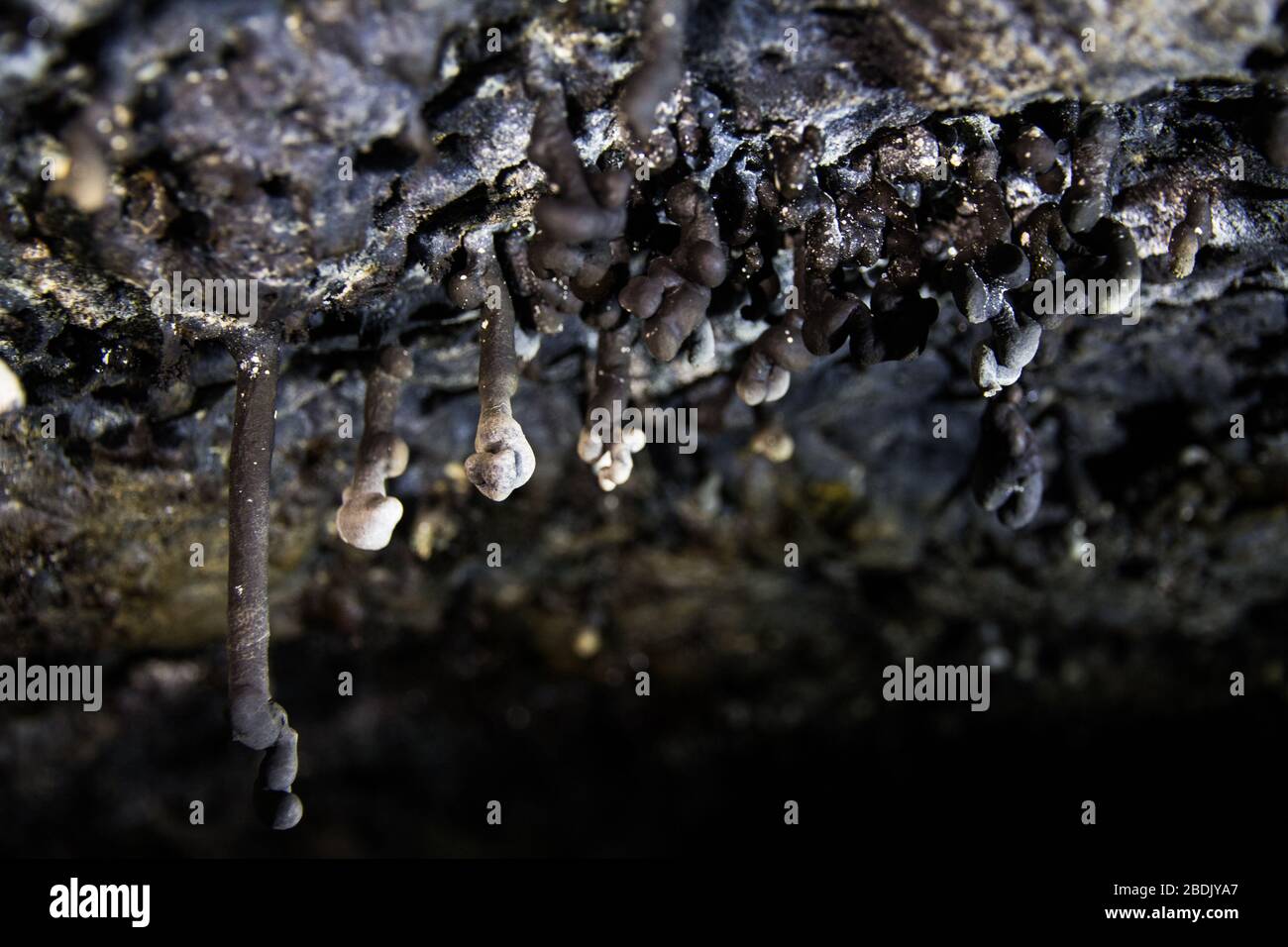 Lava tube cave hi-res stock photography and images - Alamy