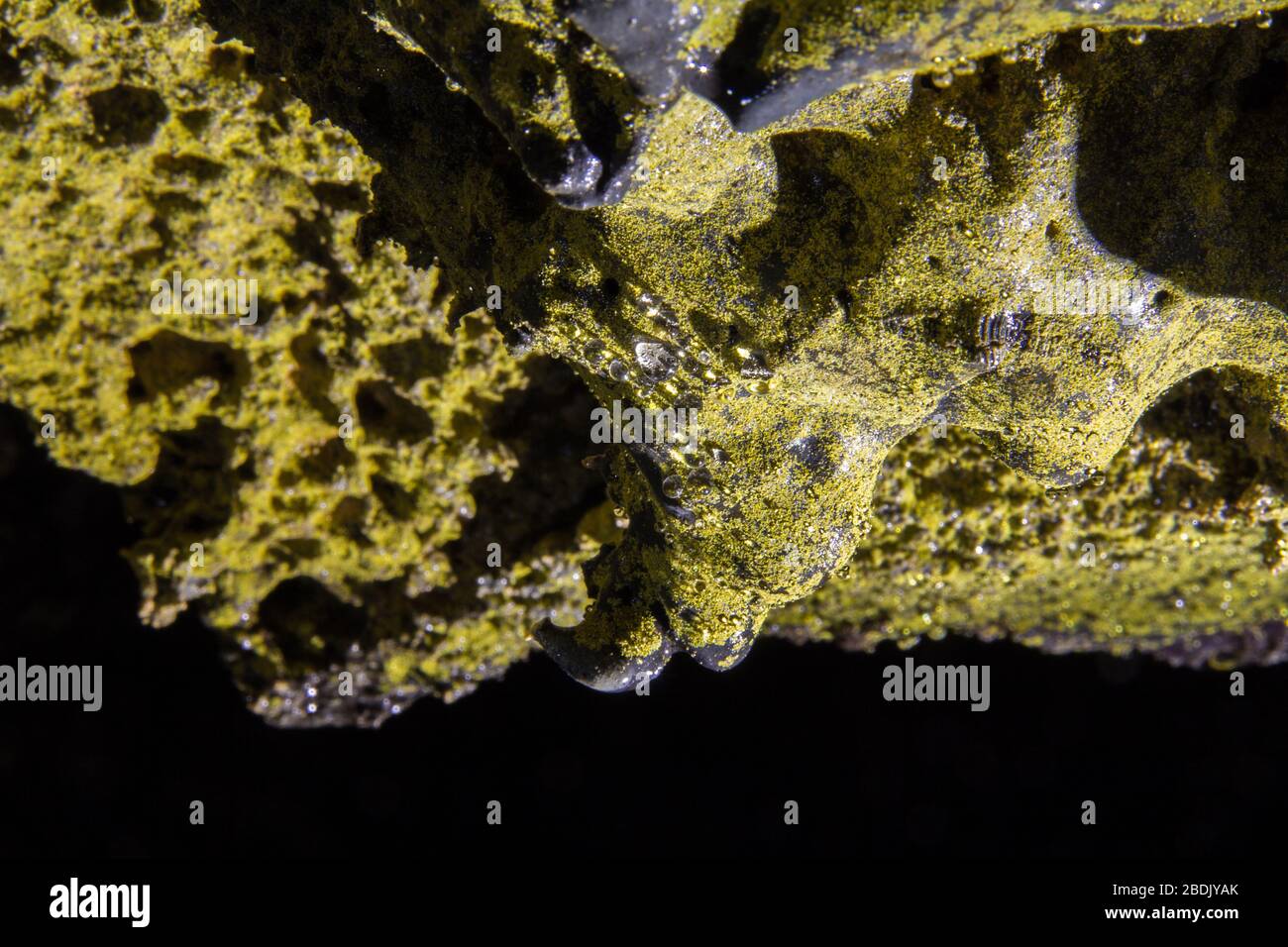 Underground bacteria hi-res stock photography and images - Alamy
