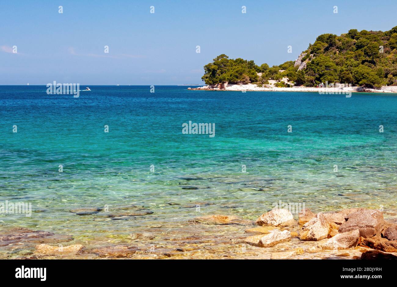 Forest Park Punta Corrente, also known as Golden Cape, Rovinj, Croatia ...