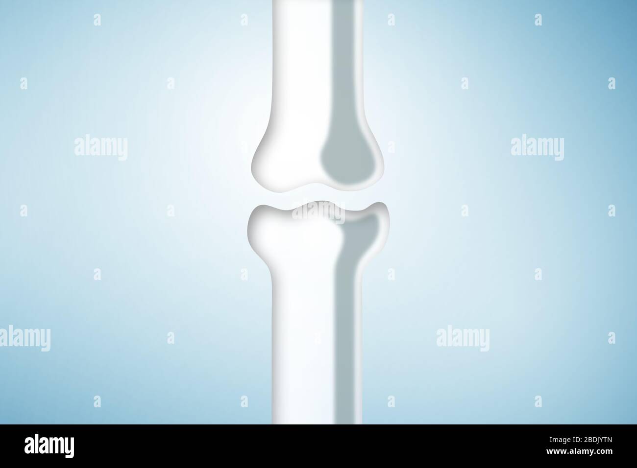 The schematic illustration of human bone joint Stock Photo - Alamy
