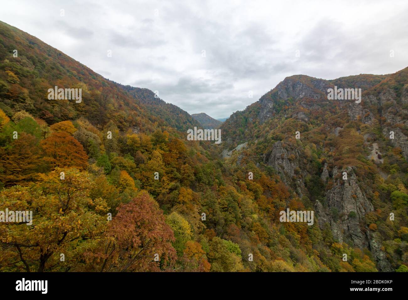 The different colors of te fall Stock Photo - Alamy