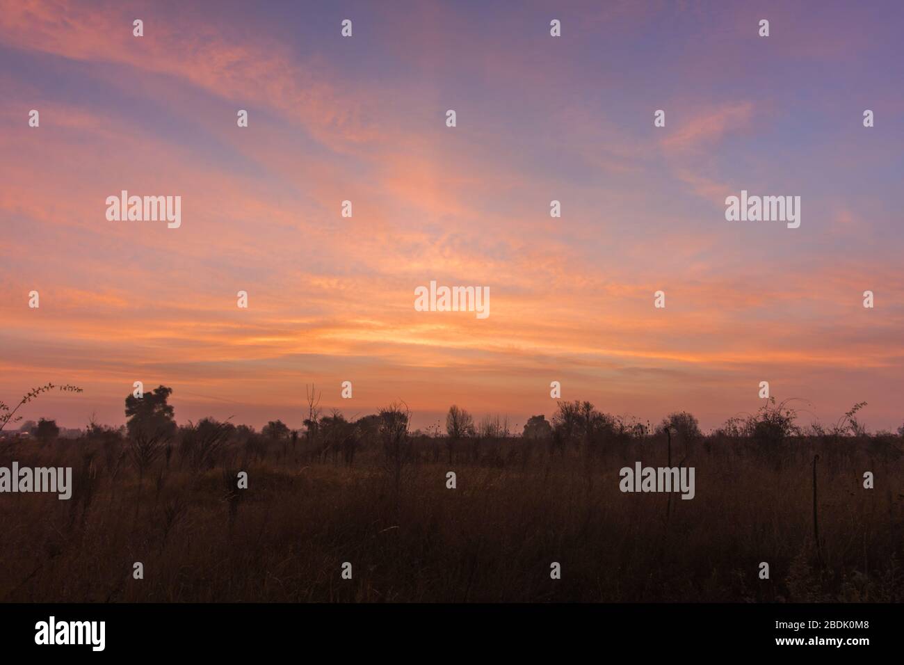 Gentle colors of the first light Stock Photo - Alamy