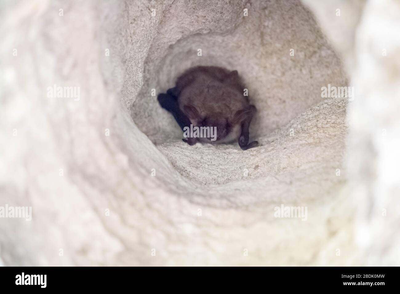 Hiding waterfall hi-res stock photography and images - Alamy