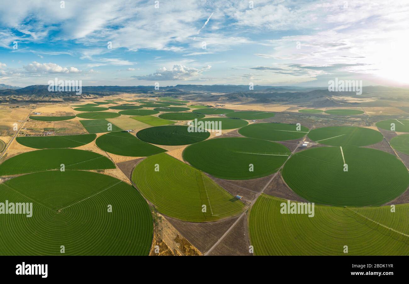 Green Crop Circles Grow in a Remove Nevada Desert Stock Photo - Alamy