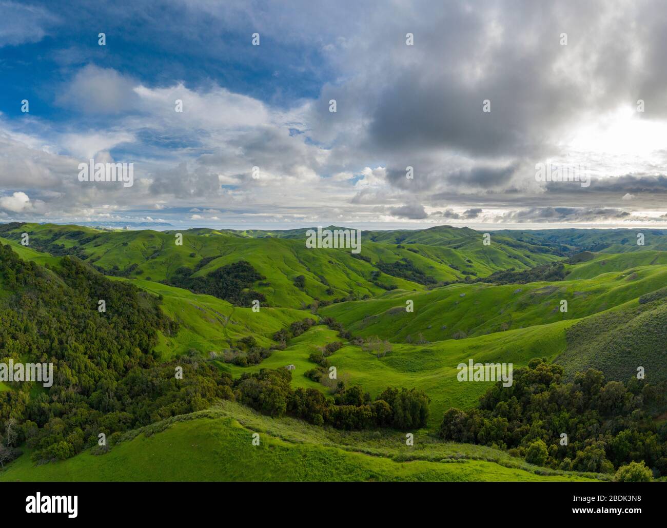 Green Rolling Hills Idyllic Scene in California After Heavy Spri Stock ...