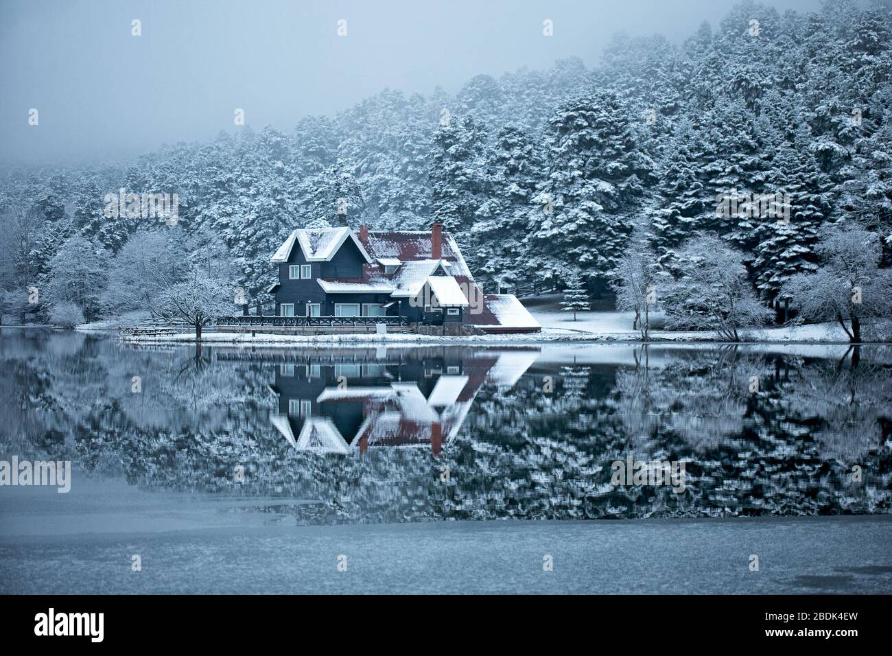 Winter in Golcuk Park. Bolu. Turkey Stock Photo - Alamy