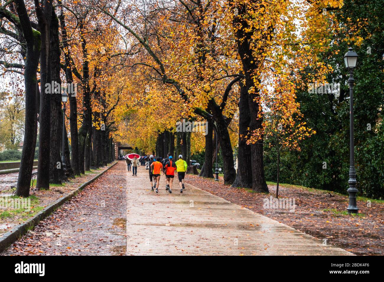 Lucca hi-res stock photography and images - Alamy