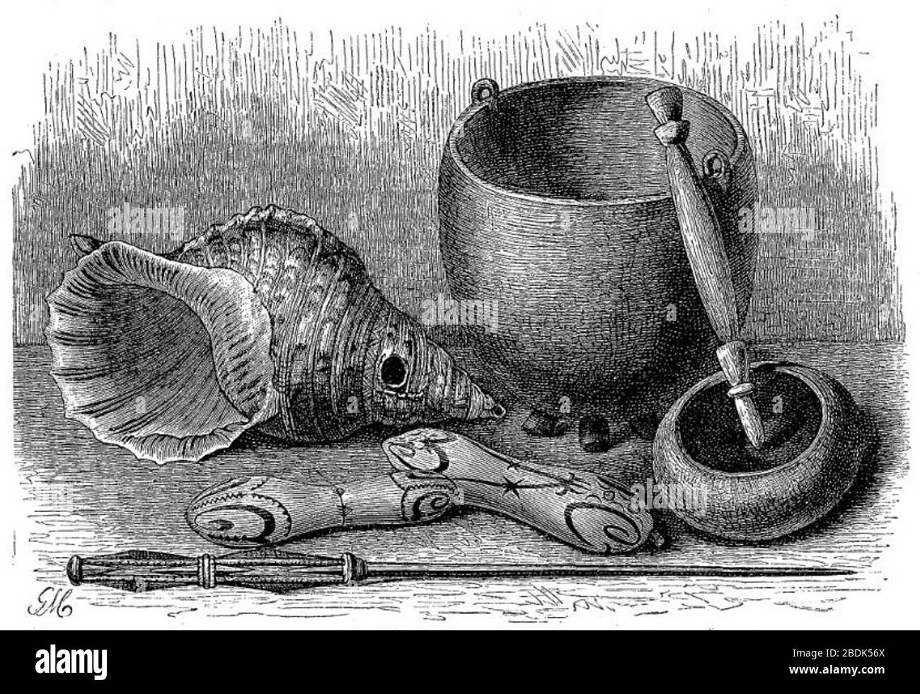 Polynesian conch shell hi-res stock photography and images - Alamy