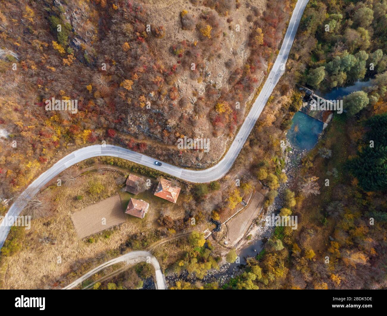 Autumn forest drone aerial shot, Overhead view of foliage trees and ...