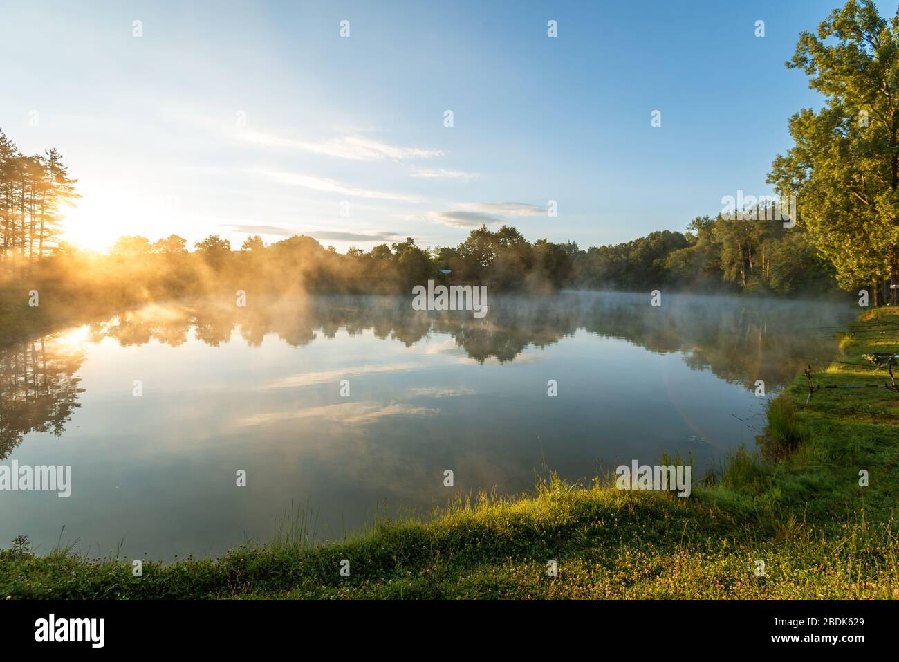 Morning fog on the forest lake, sunrise shot Stock Photo - Alamy