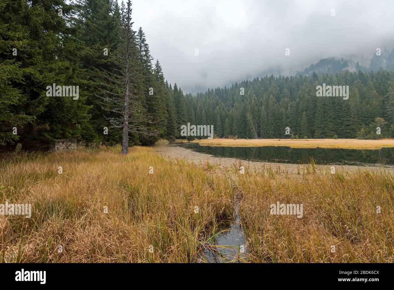 Smolyan hi-res stock photography and images - Alamy
