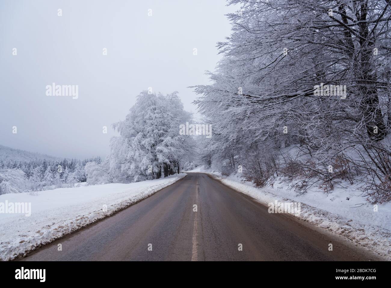 Mountain winter road through the forest Stock Photo - Alamy