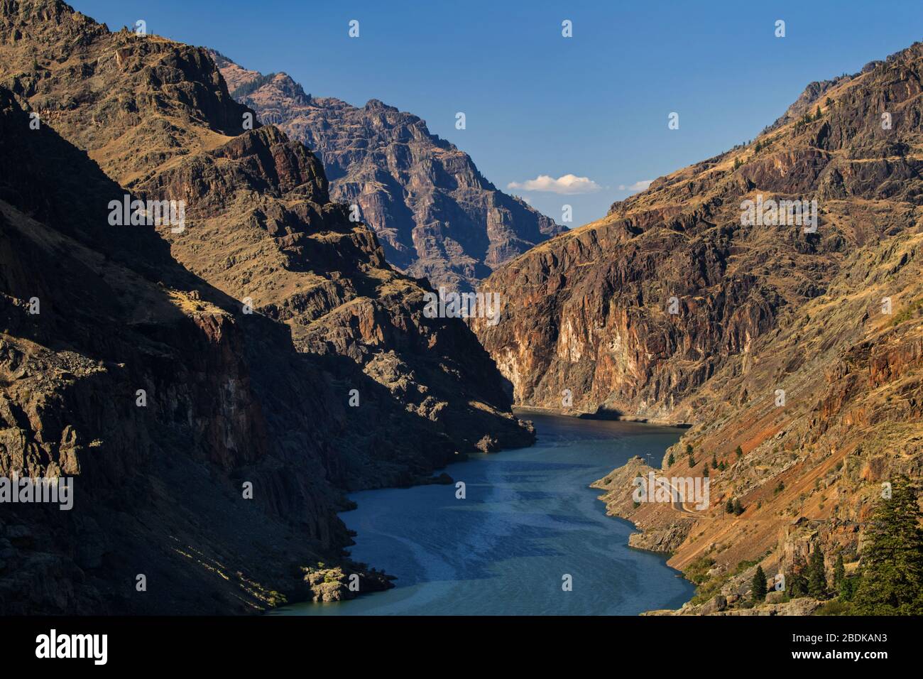 Oregon snake hi-res stock photography and images - Alamy