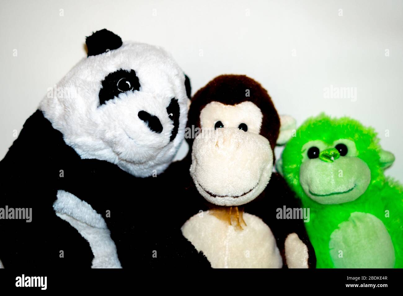 teddies looking together Stock Photo - Alamy