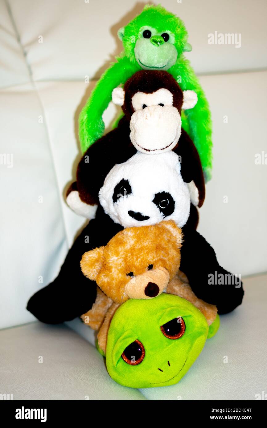 teddies looking together Stock Photo - Alamy