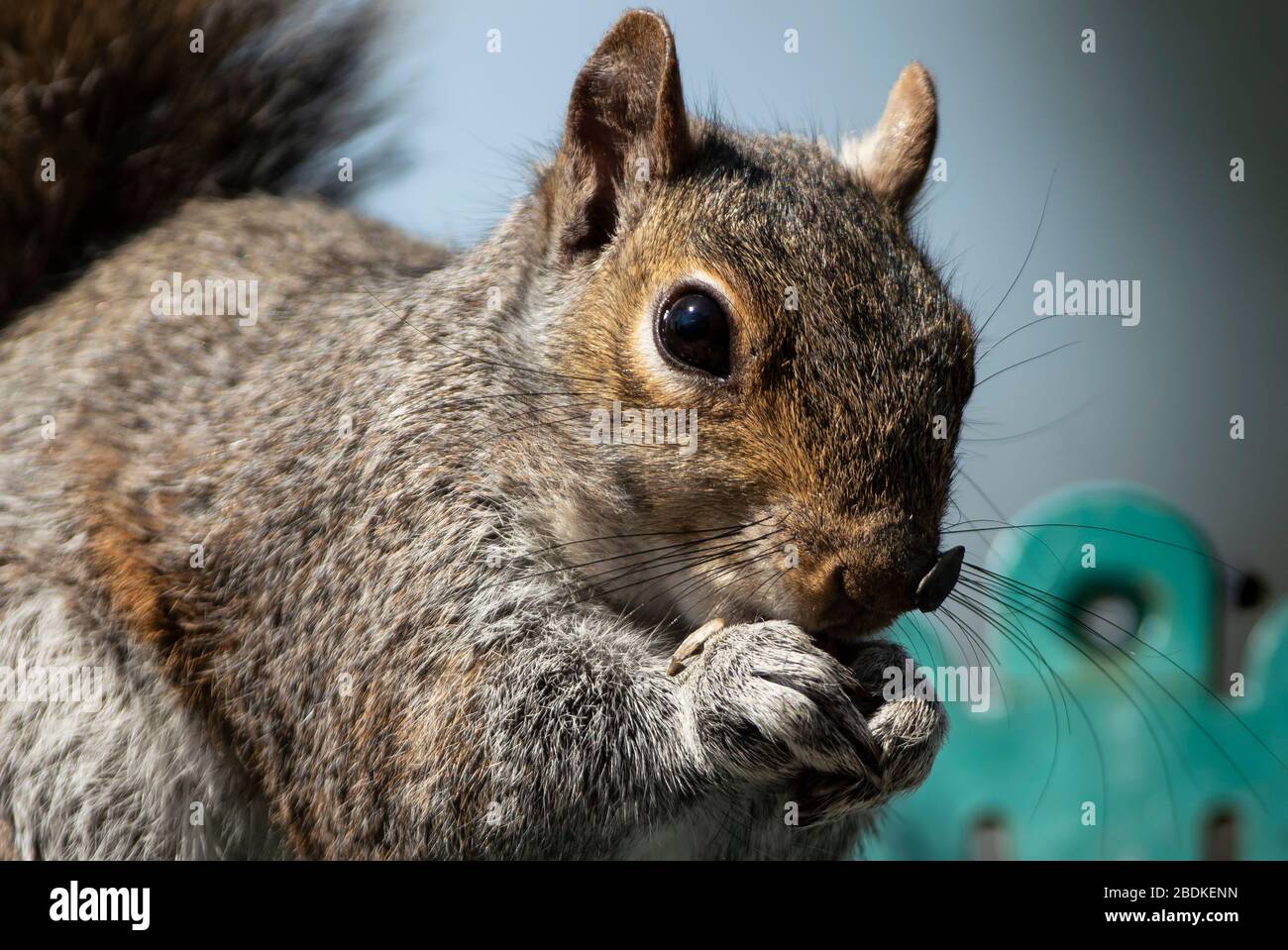 Food in hand Stock Photo - Alamy