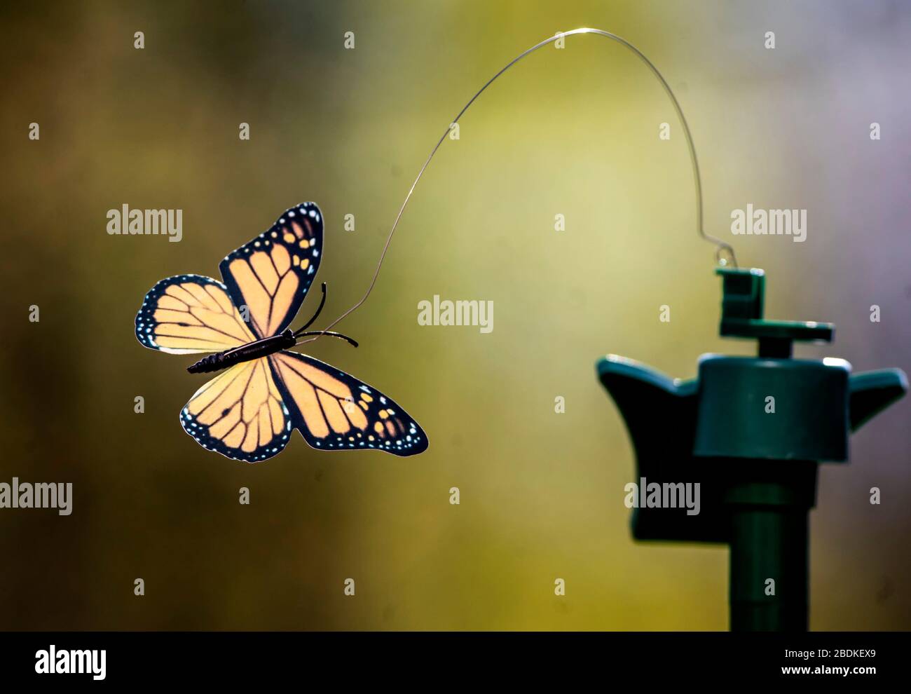 Spinning around hi-res stock photography and images - Alamy