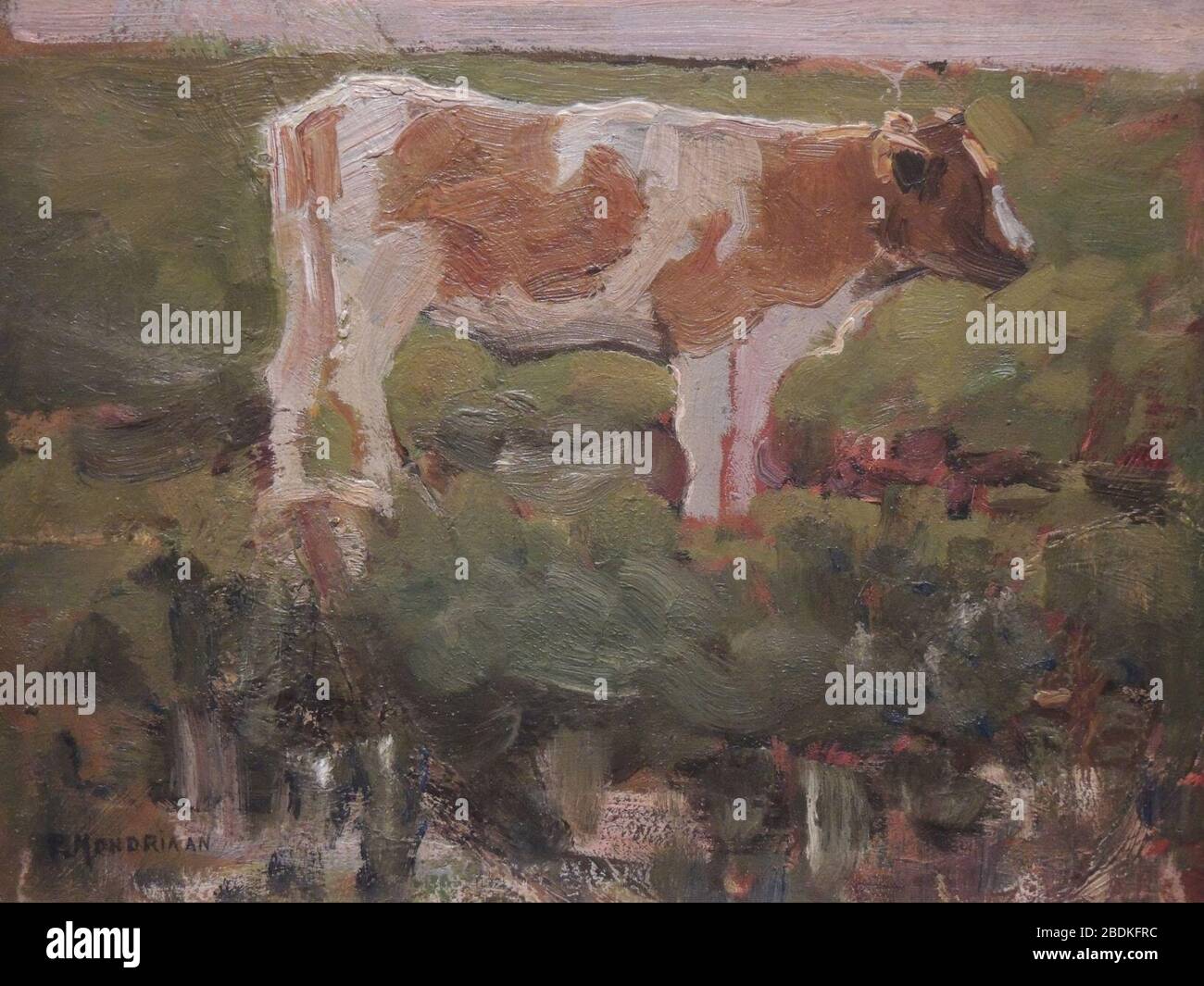 Génisse marron et blanc dans la prairie (Mondrian Stock Photo - Alamy